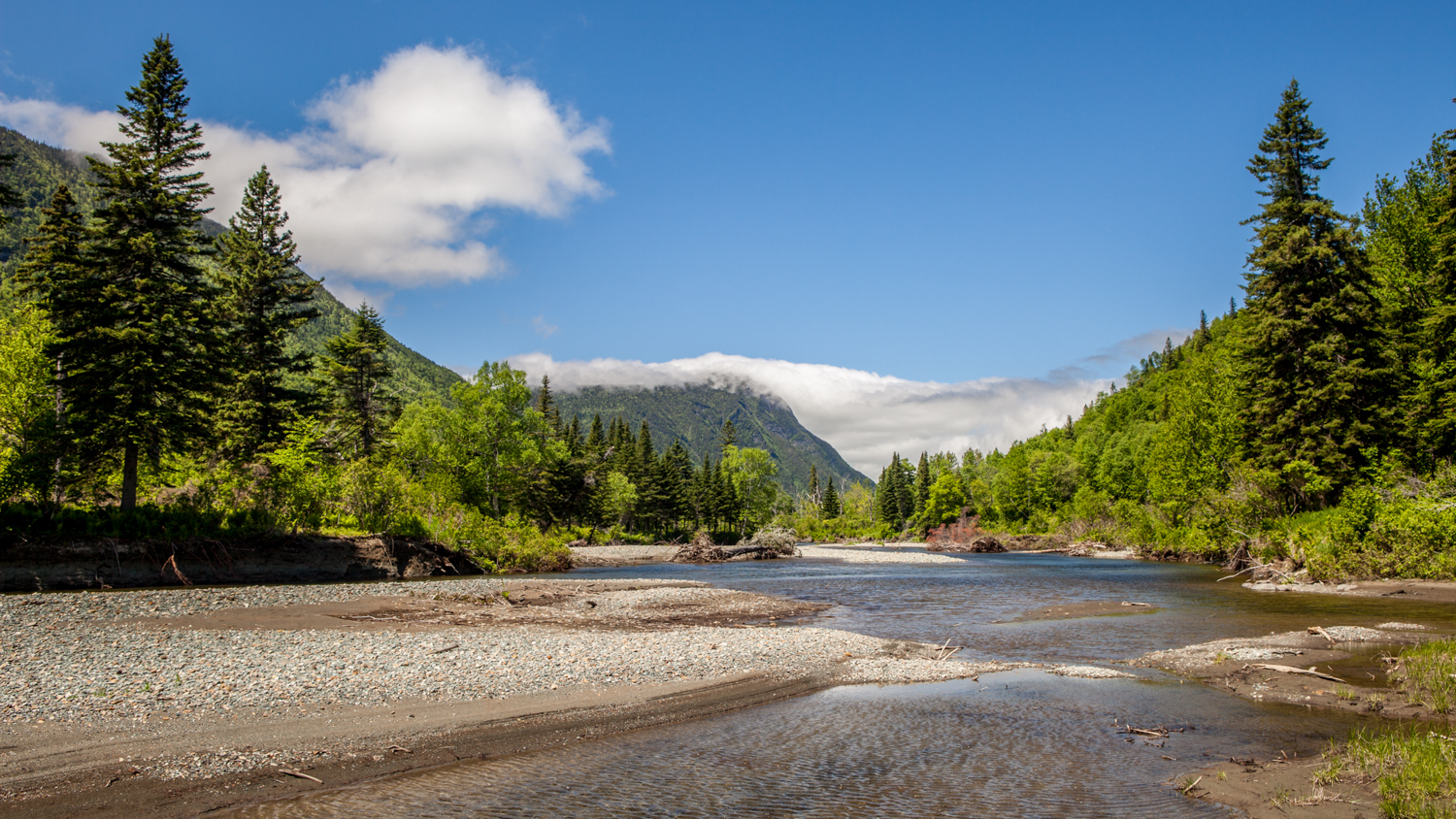 Le Chalet De La Rivière Cap-chat, Chalet à louer, Gaspésie, cap-chat ...